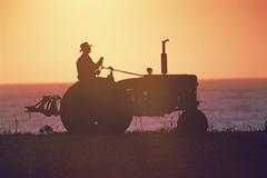 POET Grain - Chancellor