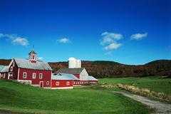 POET Grain - Chancellor